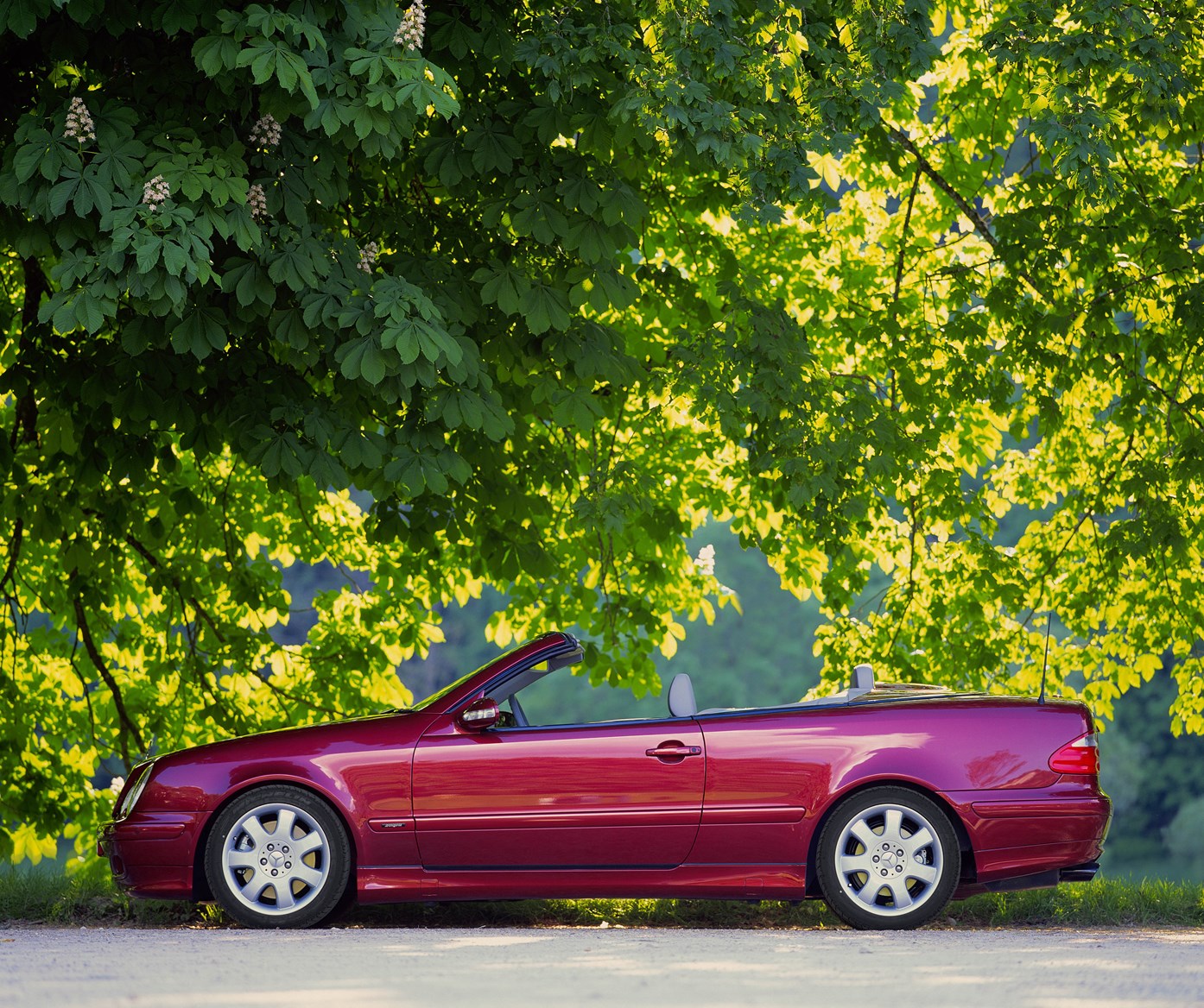 Used Mercedes-Benz CLK Cabriolet (1998 - 2003) Review | Parkers