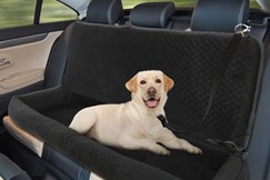 Best pet car seat in 2025 designed for safety and comfort