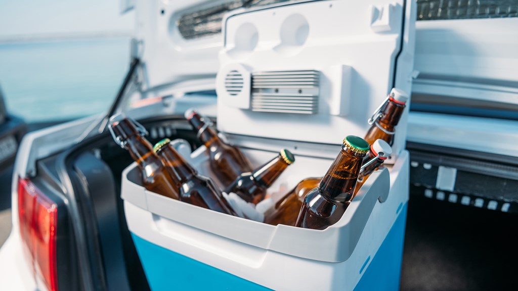 The best car cooler boxes for a summer road trip 2025