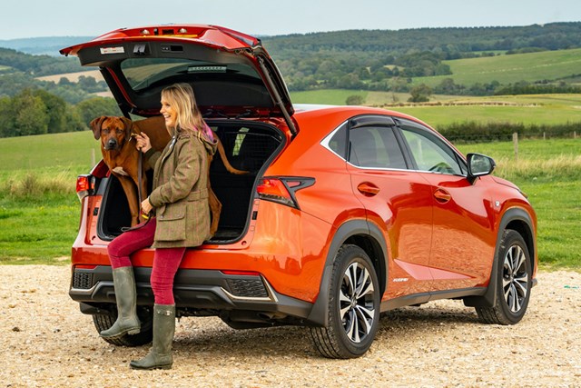 Best cars for dog owners 2026 - our favourite options for those who ...