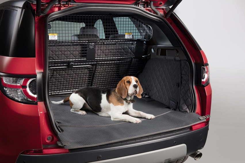 Best cars for dog owners 2026 - our favourite options for those who ...