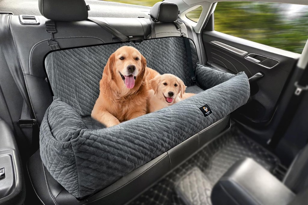 Best pet car seat in 2025 designed for safety and comfort