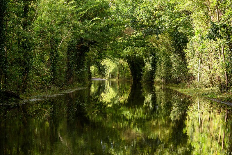 How to drive through floodwater: what you need to know